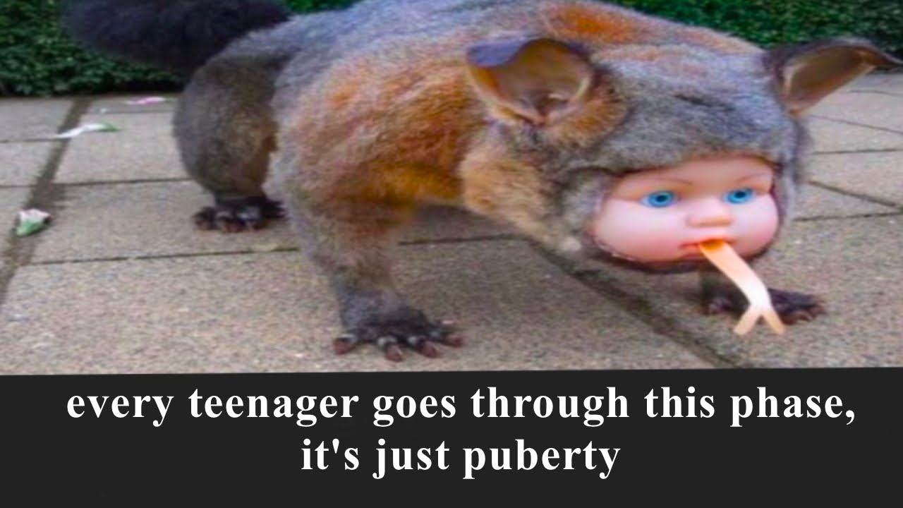 TOP 69 TUMBLR POSTS V15