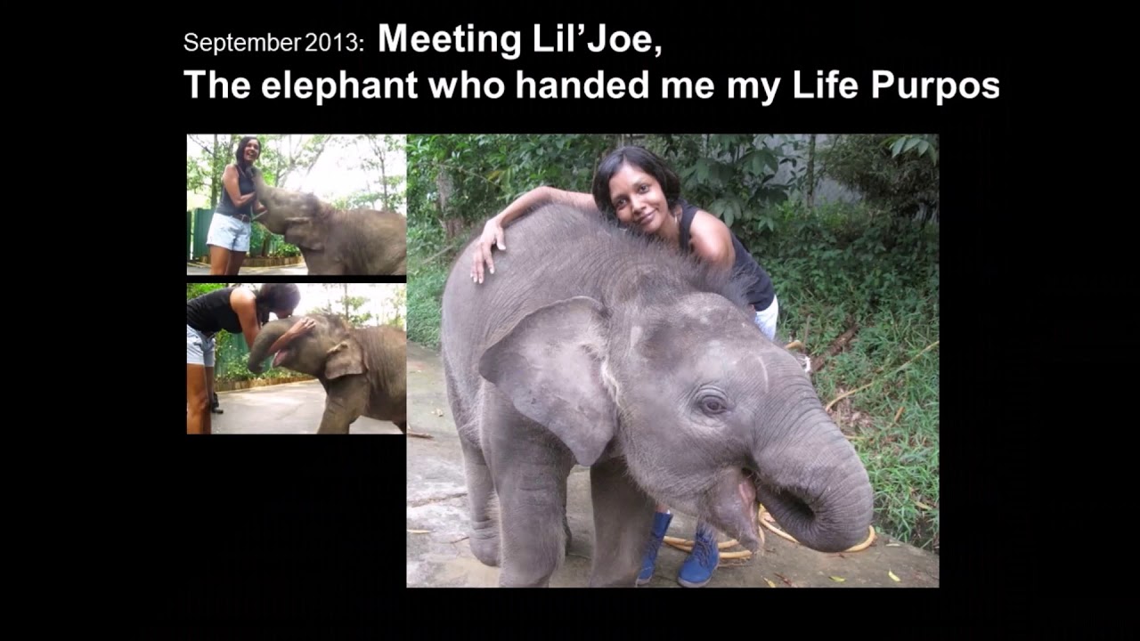 Art For Conservation | Christine Das | TEDxUCSIUniversity