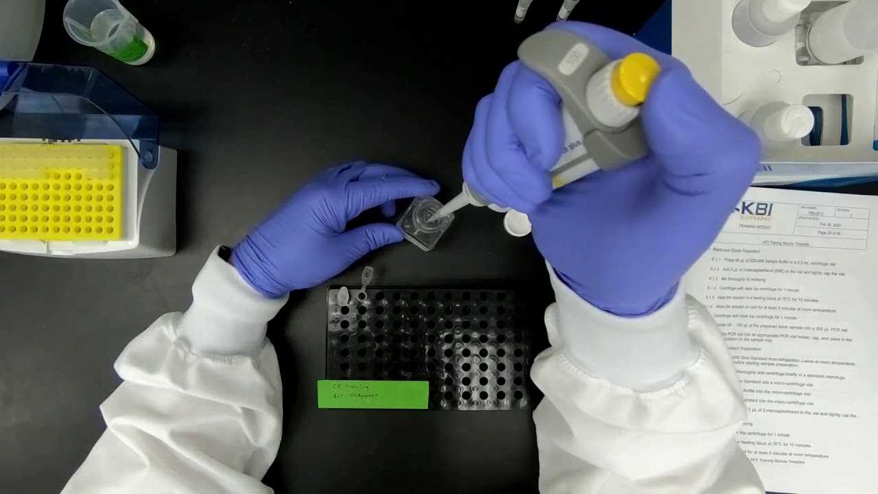 CE Sample Prep