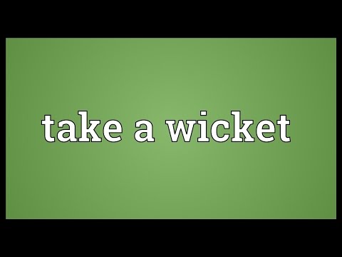 Take a wicket Meaning