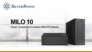 SilverStone Milo ML10 ab € 60,90 (2025) | Preisvergleich Geizhals ...