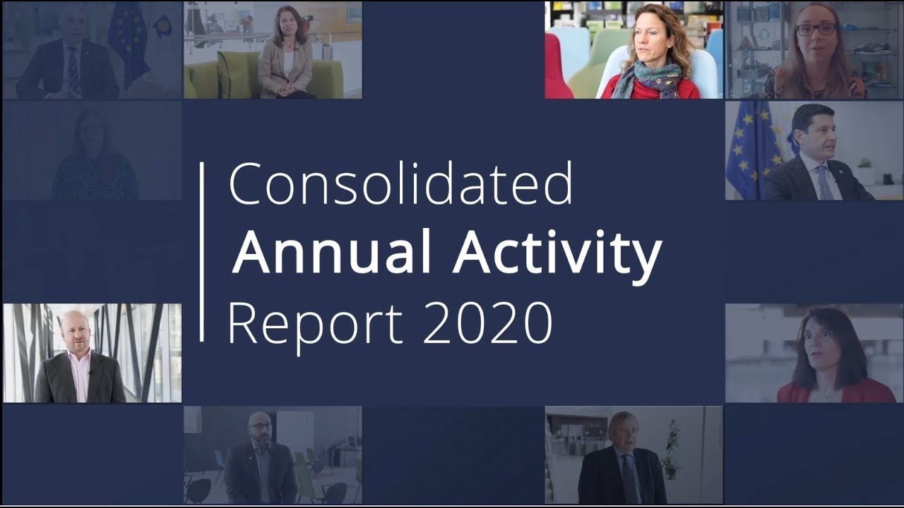 Annual Activity Report 2020