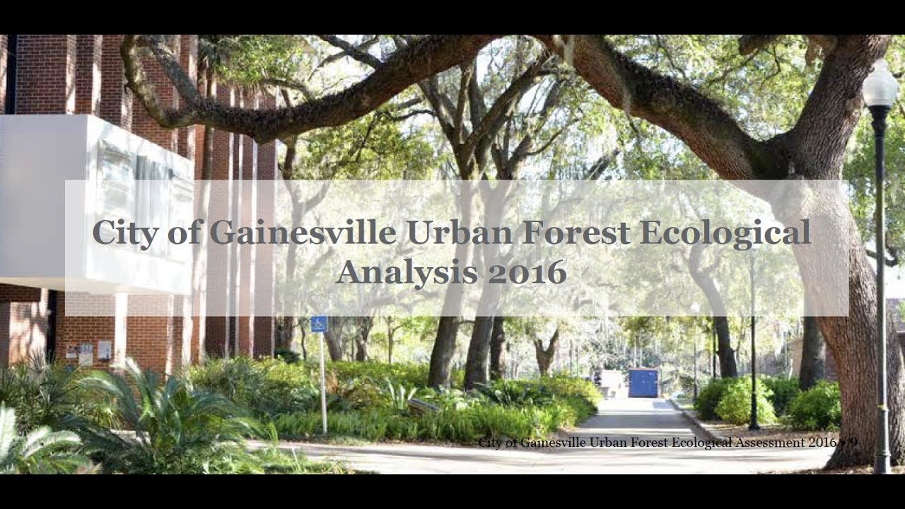 Urban Forest Ecological Analysis 2016 Gainesville, FL