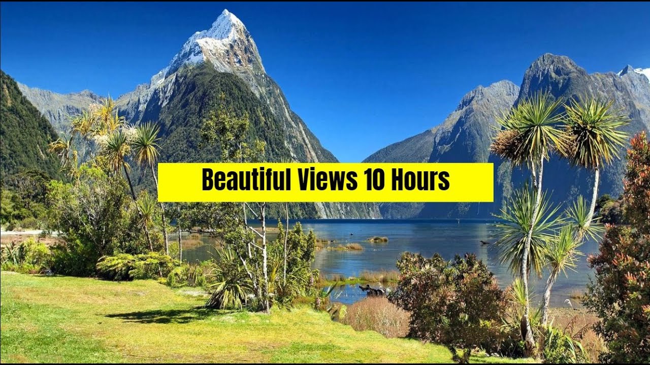 4K WALLPAPER | NATURE | GREEN | BEAUTIFUL BACKGROUND