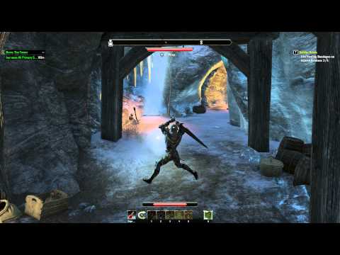 Frozen In One Place Wile Running — Elder Scrolls Online