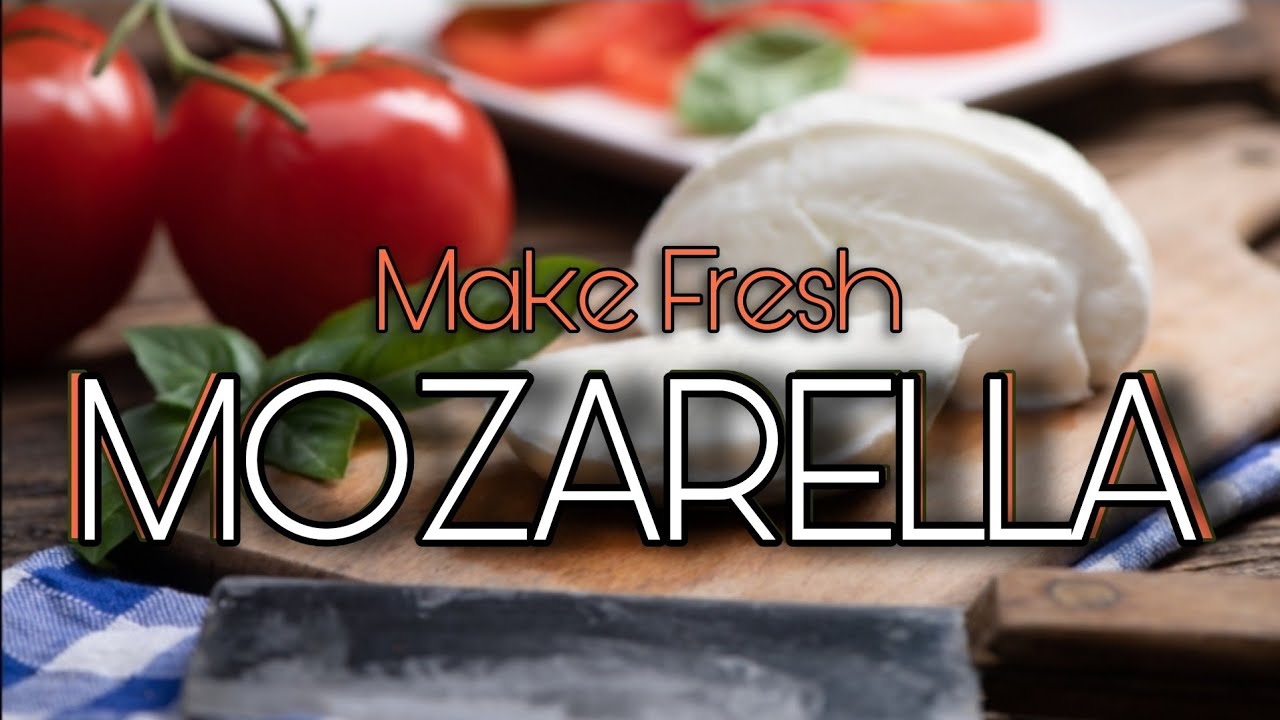Discover EASY Mozarella - Step by Step Beginner's Cheesemaking