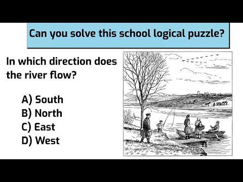 Can you solve this logic puzzle?