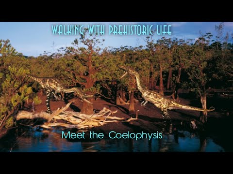 Walking With Prehistoric Life | Species profile | Meet the Coelophysis