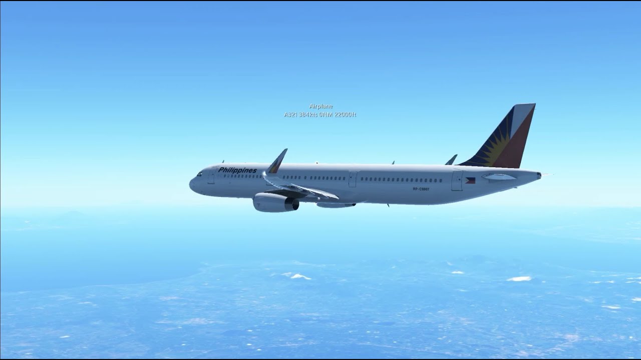 Plane Dancing With A Bird