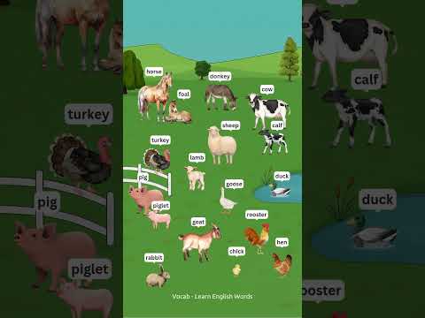 🐮 Farm Animals Vocabulary | Domestic Animals | Animal Names 🐔#englishapps