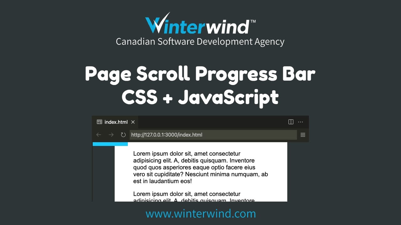 Simple Page Scroll Progress Bar with CSS and JavaScript
