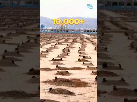 Jannatul Baqi | Qabarstan #shorts #islamicgyanclub