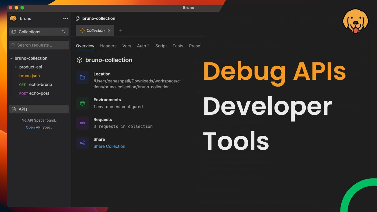 Debug APIs Using Bruno Developer Tools #useburno #brunoapi