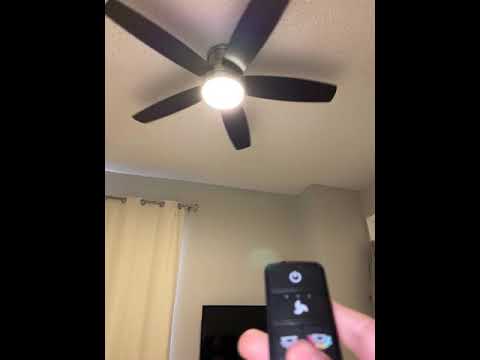 Ashby Park Celing Fan demo