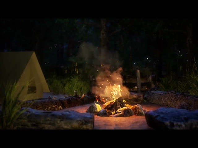 The Camp Bar - Where Adults Go To Drink