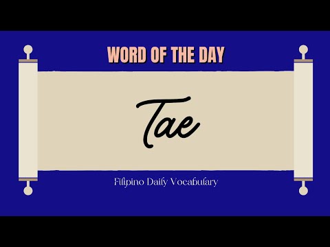 Tae in English + Pronunciation