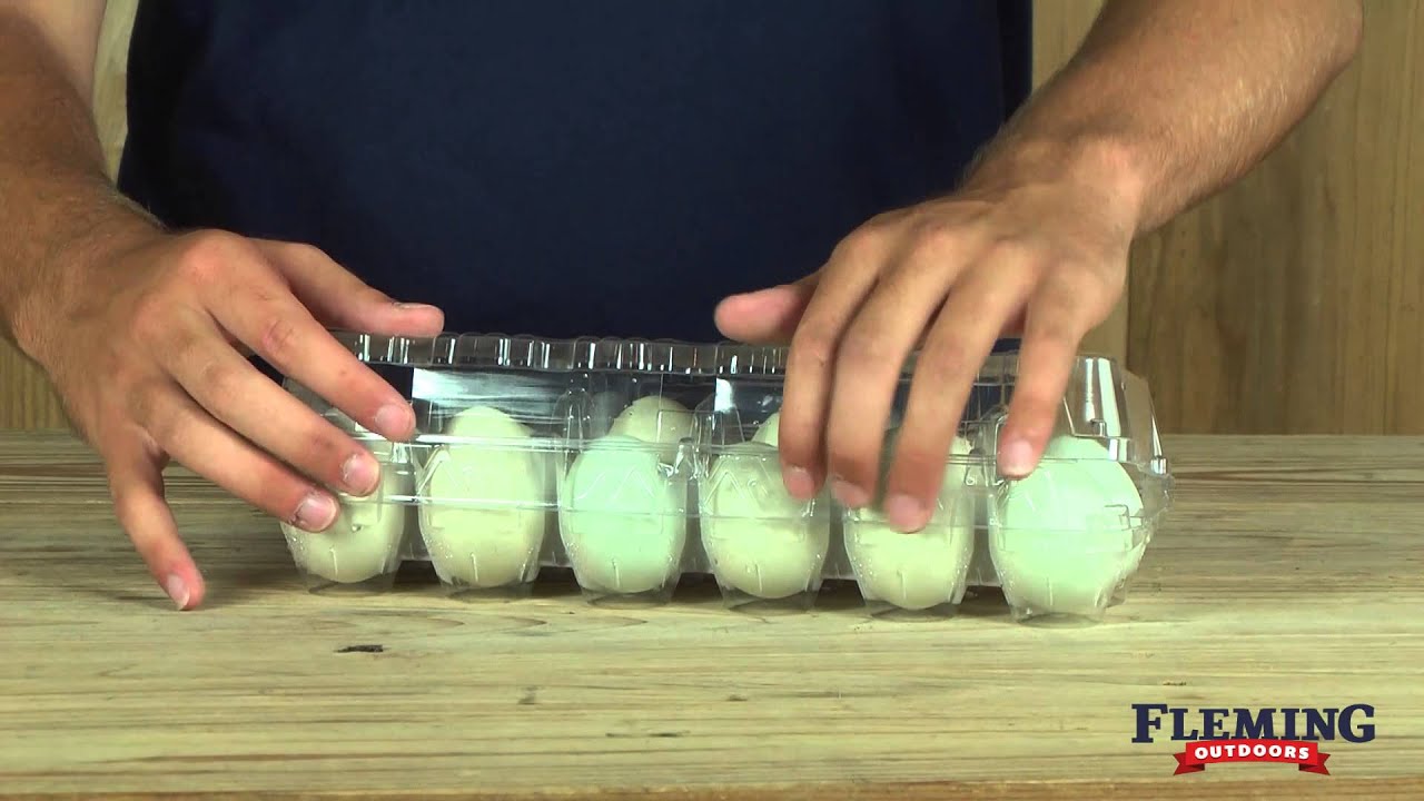 Chicken Egg Cartons - Clear