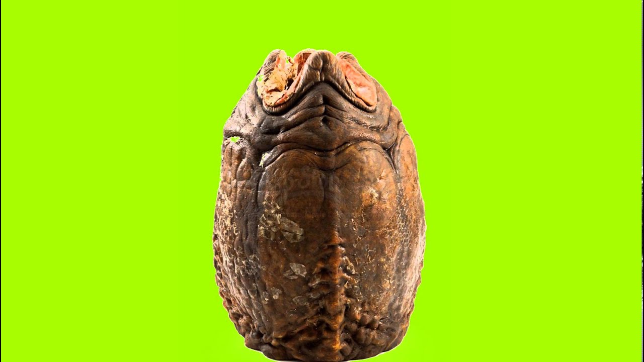 Green Screen effect: alien egg