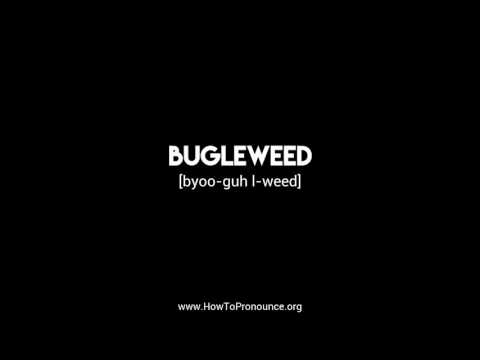How to Pronounce "bugleweed"