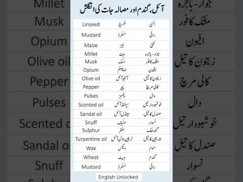 English Vocabulary Words With Urdu Translation