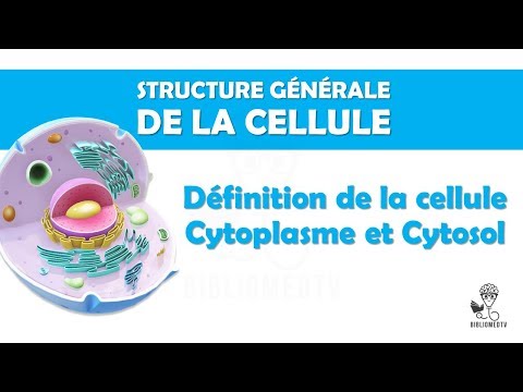 Structure Générale de la Cellule - Définition de la Cellule, Cytoplasme, Cytosol