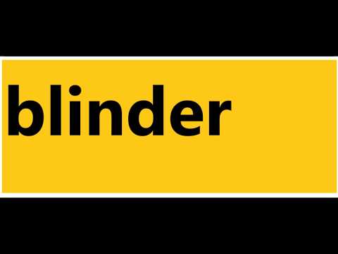 Blinder Meaning