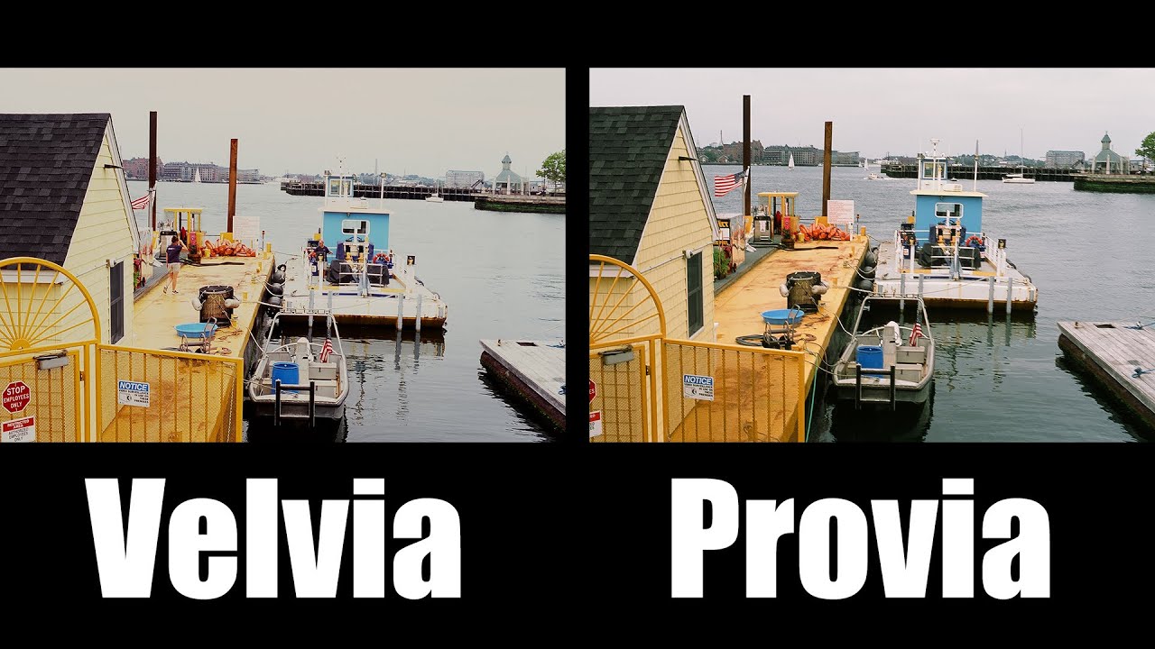 PROVIA 100 VS. VELVIA 100 | Slide Film Comparison