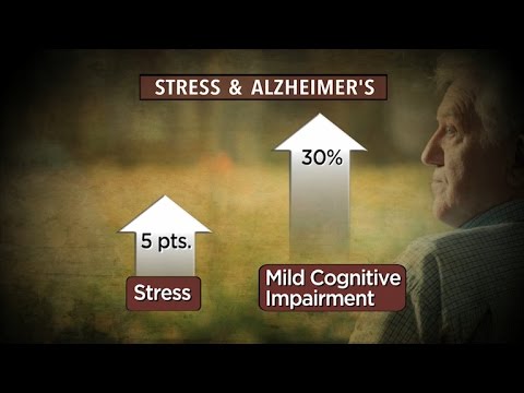 Stress linked to mental decline in seniors