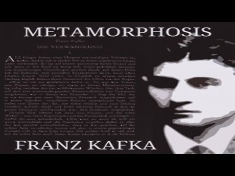 The Metamorphosis - by Franz Kafka (Read by David Barnes)