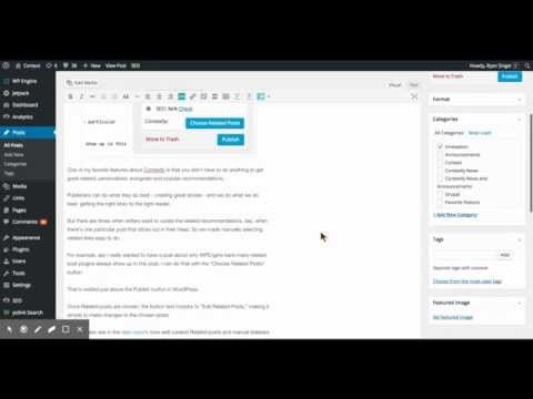 Contextly Favorite Feature #3: Choosing Related Posts (if you want to)
