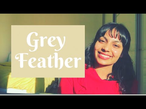 The Meaning of Seeing Grey Feather!