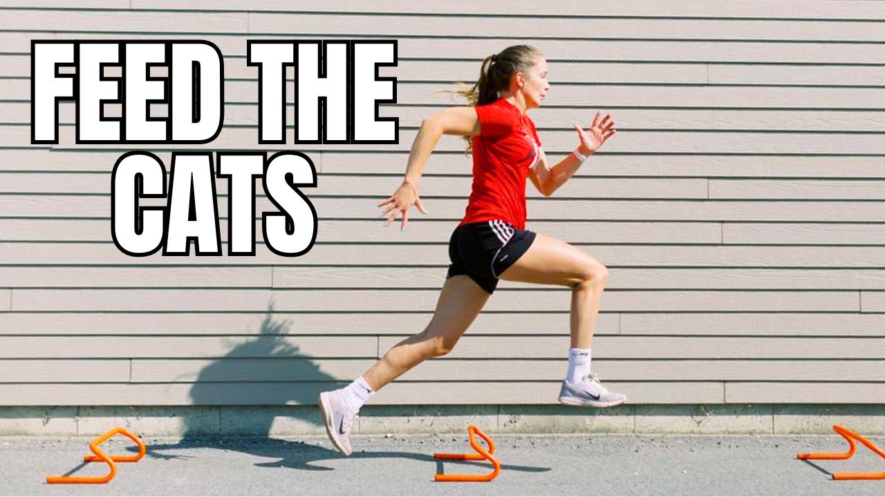 Feed the Cats Speed Training Principles