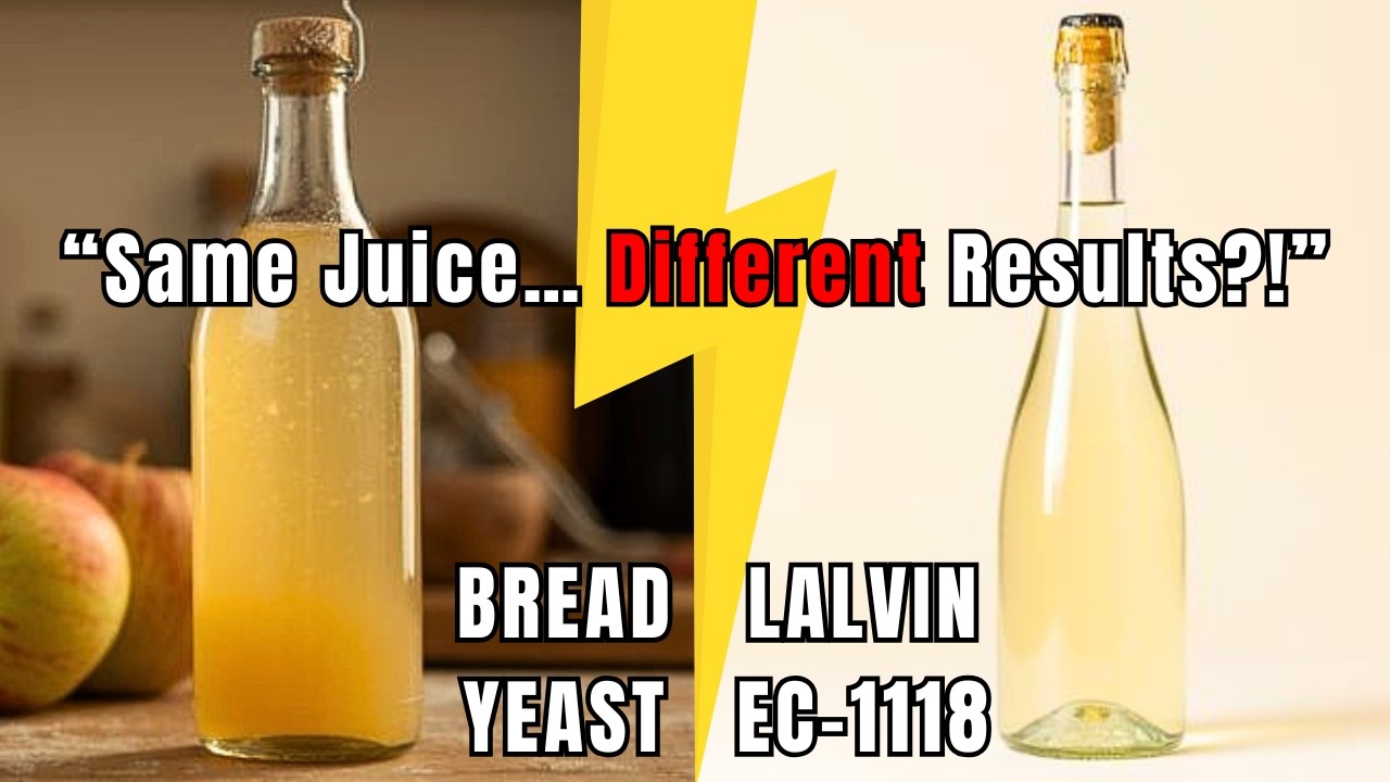Apple & Elderflower Wine: Bread Yeast vs EC1118 Test