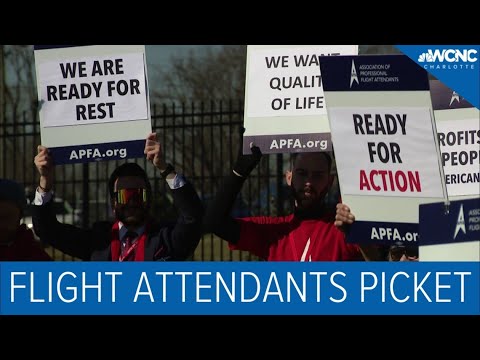 American Airlines flight attendants picket