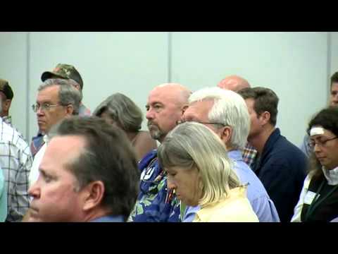 Florida citrus growers explore olive production