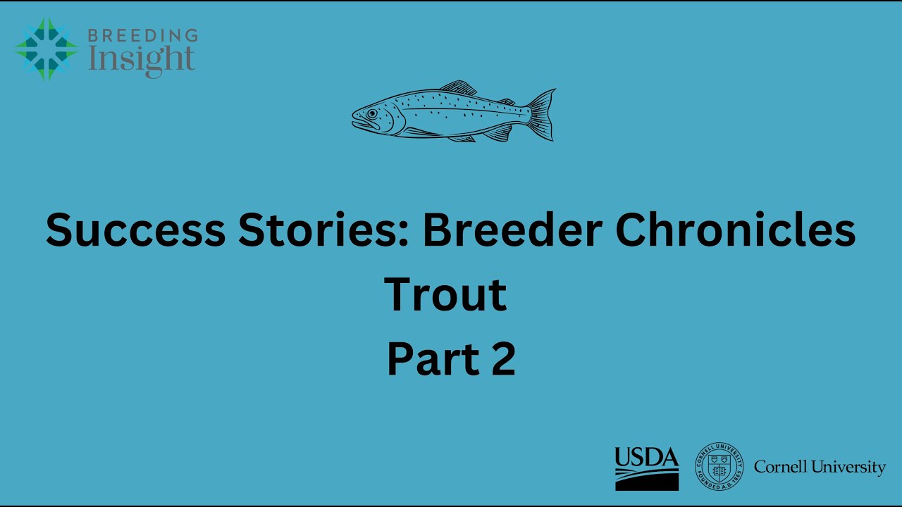 Success Stories: Breeder Chronicles: trout (2)