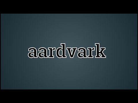 What Aardvark Means