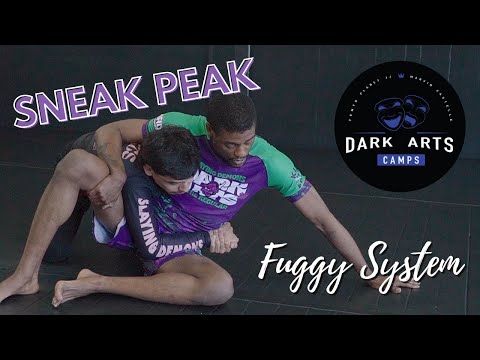 Sneak Peak of Fuggy System