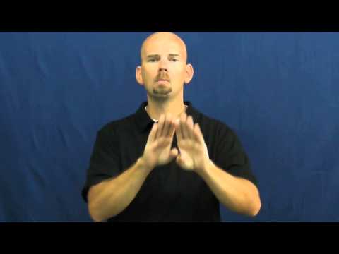 American Sign Language ASL Video Dictionary - slam