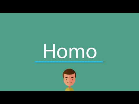 Homo pronunciation
