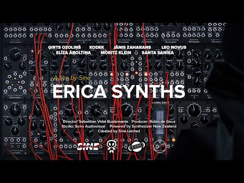 Erica Synths Megarack 8x126HP Eurorack Case | Reverb