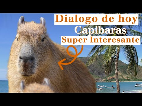 Learn Spanish with Capybara: Vocabulary and Expressions to Get to Know This Adorable Giant.