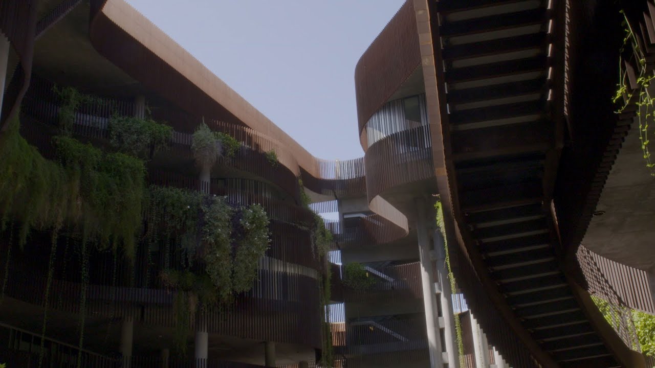 Favorite Places: University of Arizona Campus