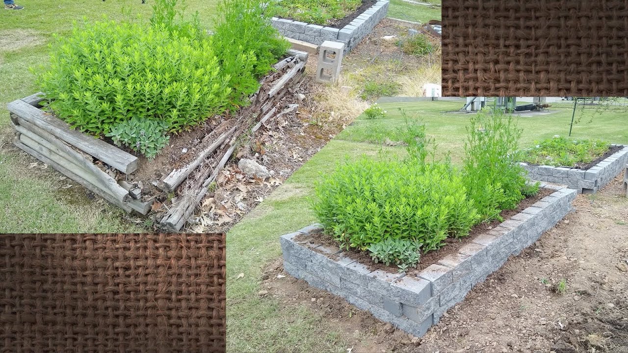 The Family Plot - May 29, 2021