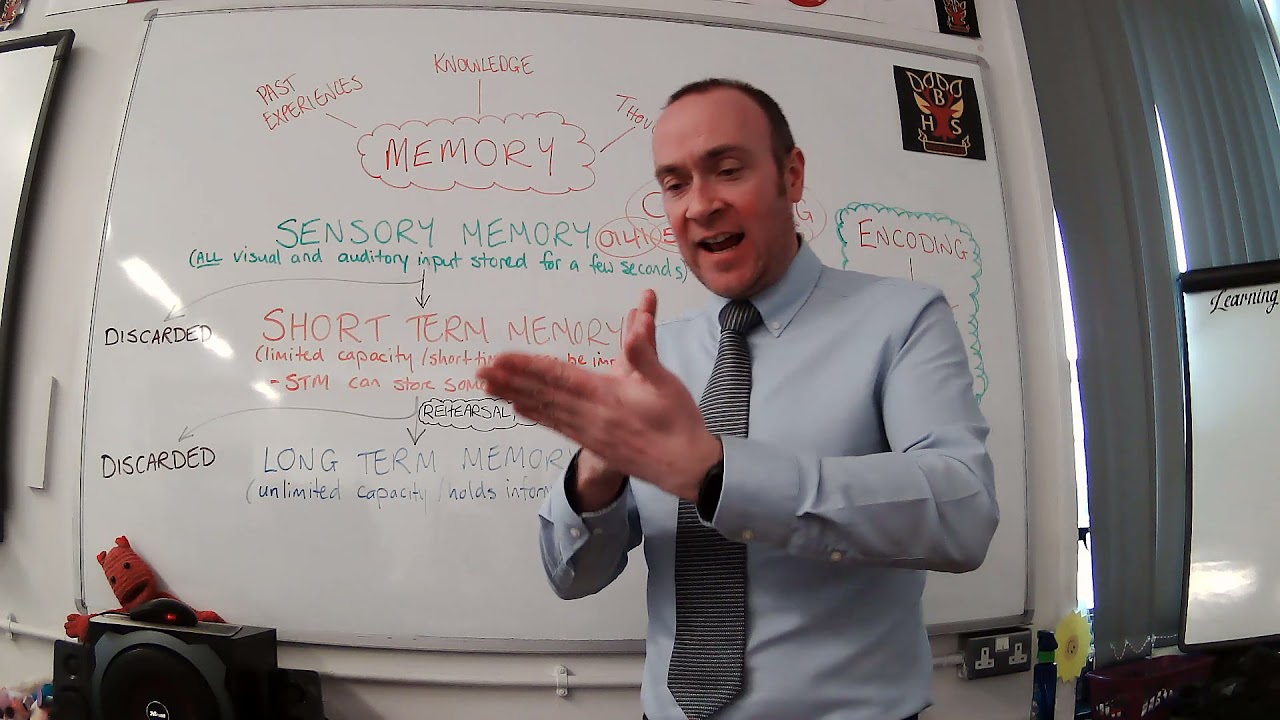 Higher Human Biology - Unit 3 - Memory