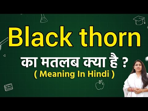 Black thorn meaning in hindi | Black thorn matlab kya hota hai | Word meaning