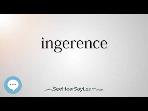 ingerence - Smart & Obscure English Words Defined 👁️🔊🗣🧠✅