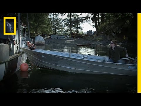 In the Same Boat | Port Protection