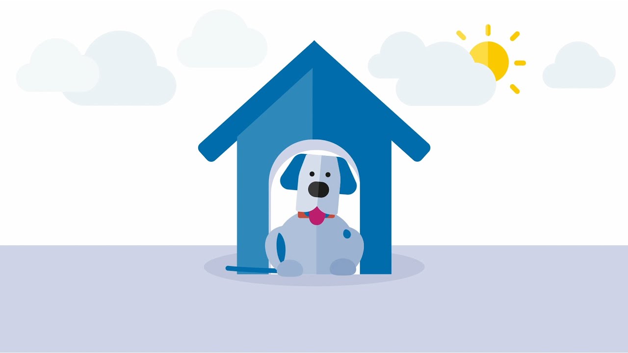 PetSure - For A life of pets