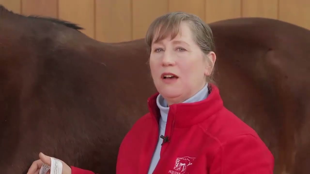 Calculating a horse's body weight